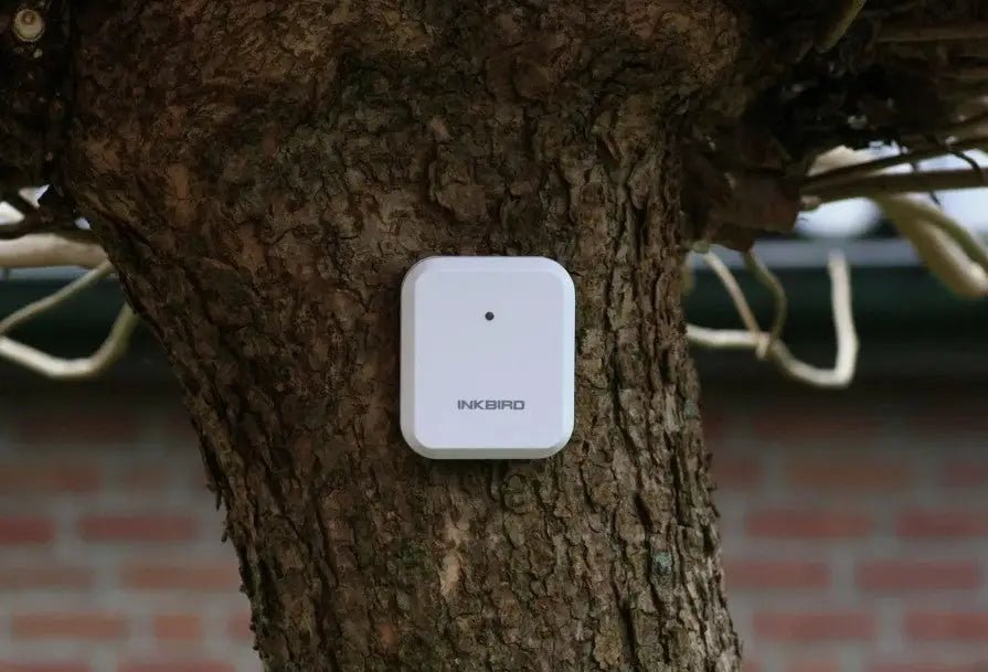 How to Calibrate a Hygrometer? Digital & Analog – INKBIRD