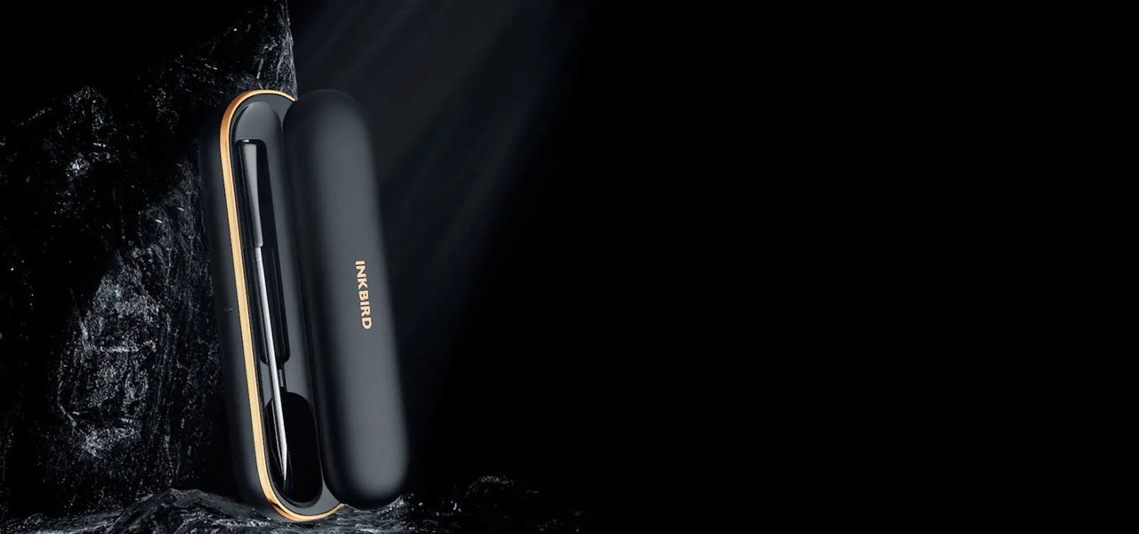 THE INKBIRD INT-11P-B