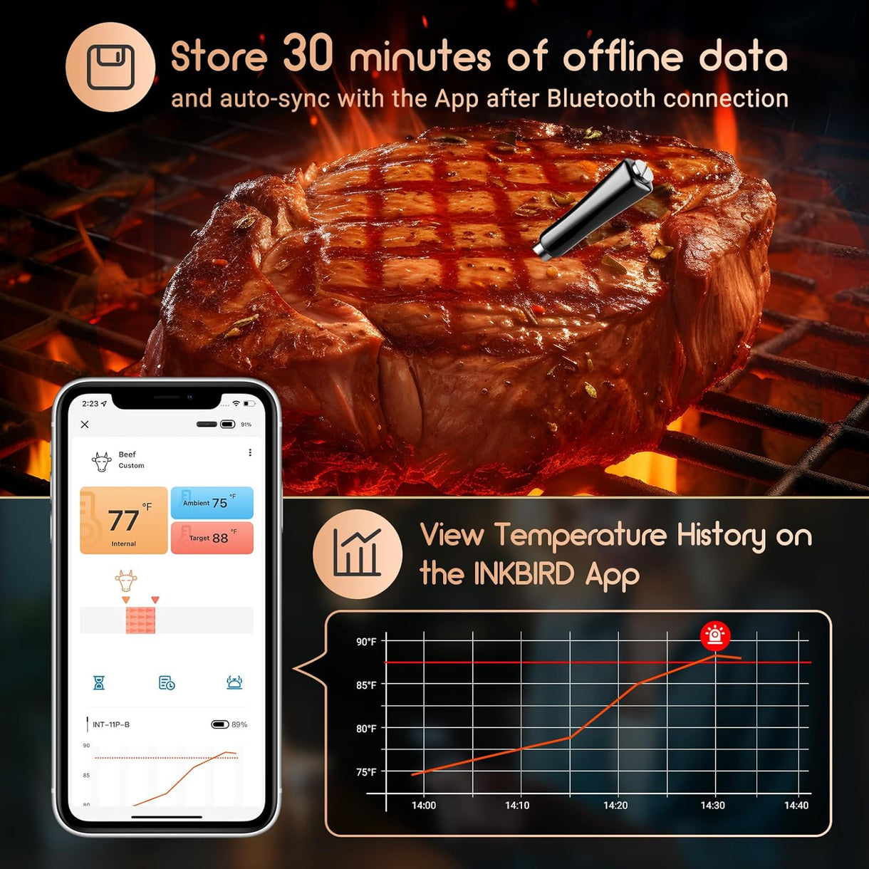 Termometro per carne wireless INKBIRD sensore intelligente Bluetooth ...
