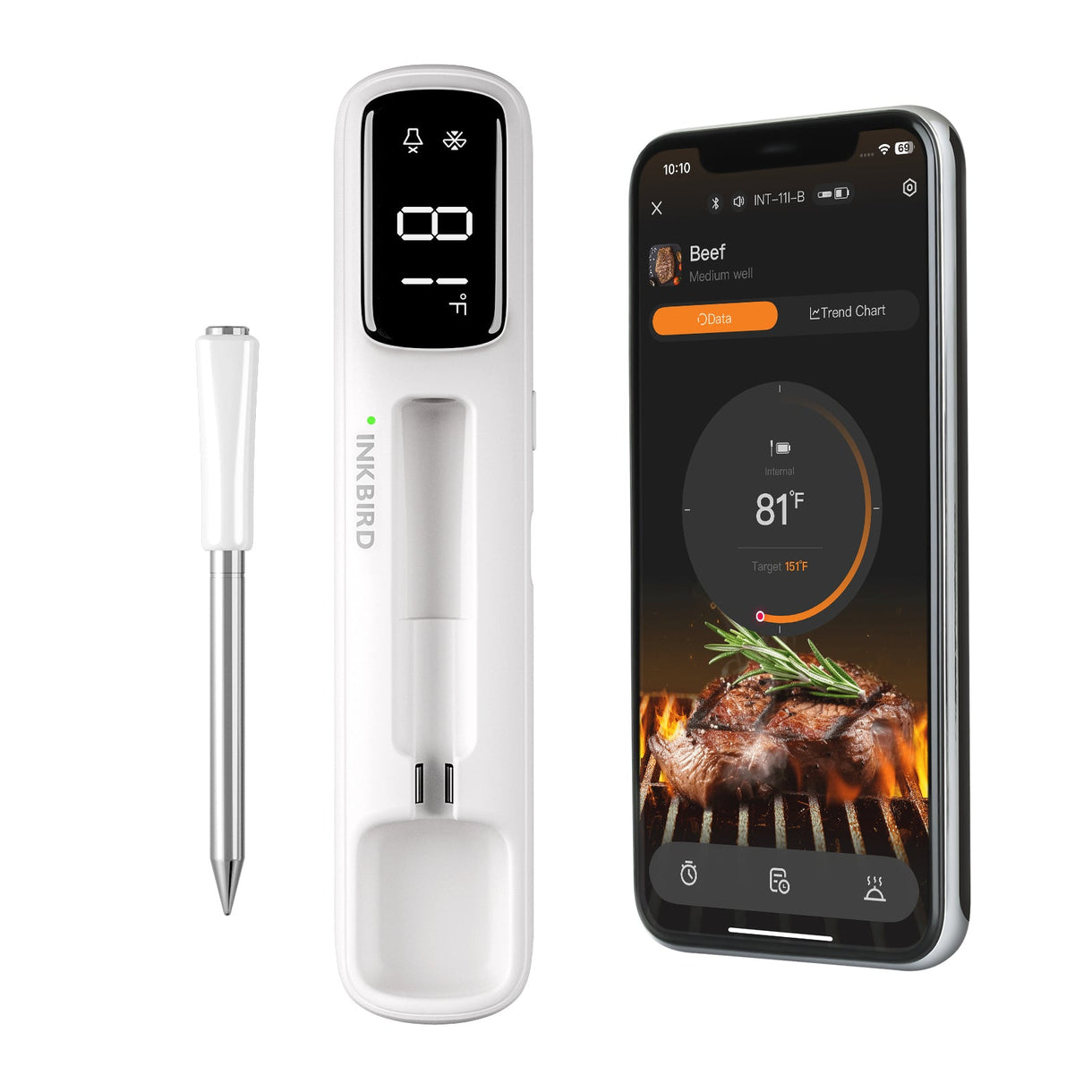 Bluetooth Mini Wireless Meat Thermometer INT-11I-B – INKBIRD