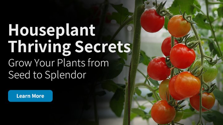 INKBIRD | Smart Temperature Controllers, Food Thermometers & More