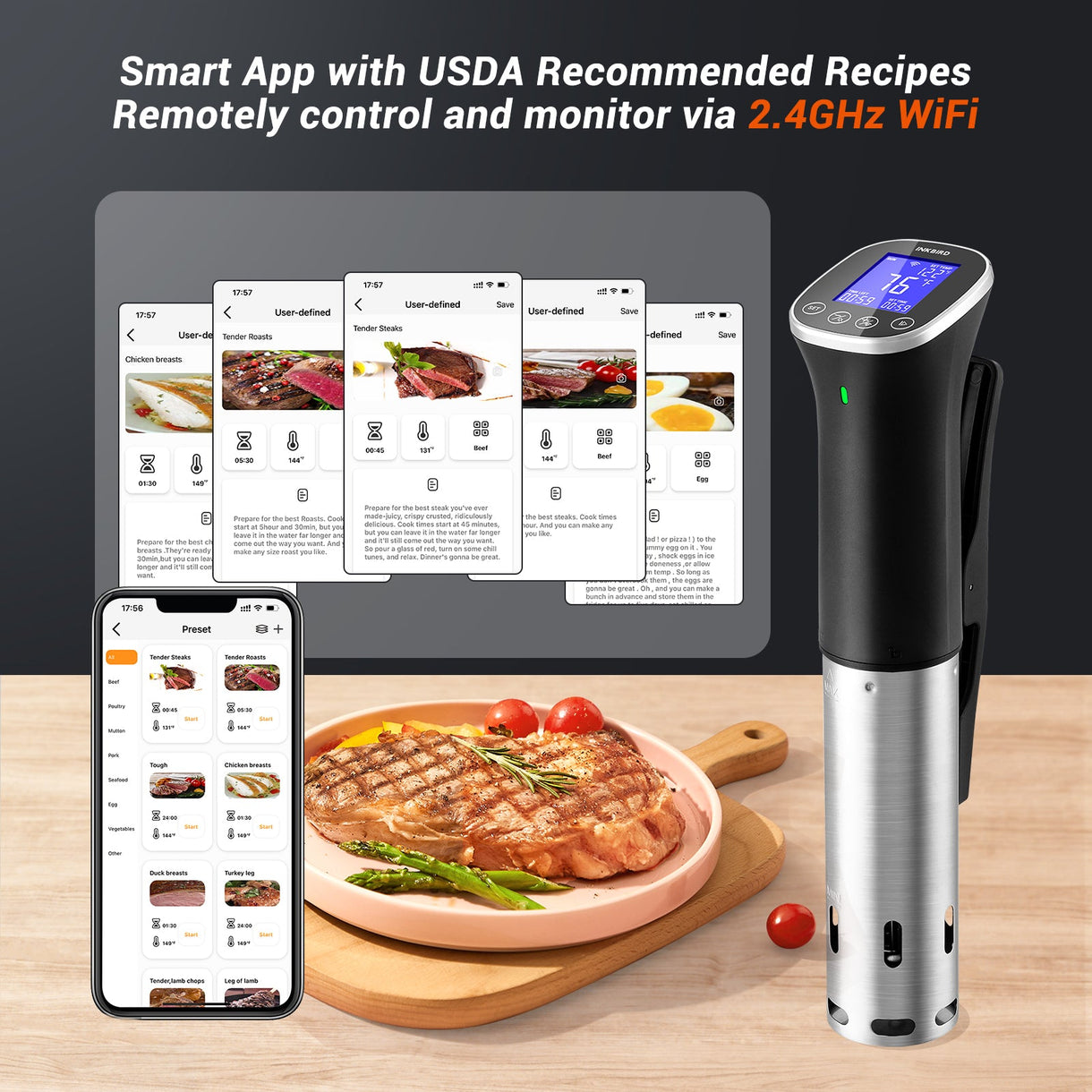 INKBIRD ISV-300W Sous Vide Precision Cooker Review